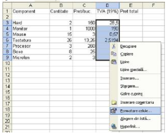 Fisa_excel_11