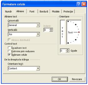 Fisa_excel_11