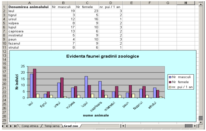 Fisa excel 5